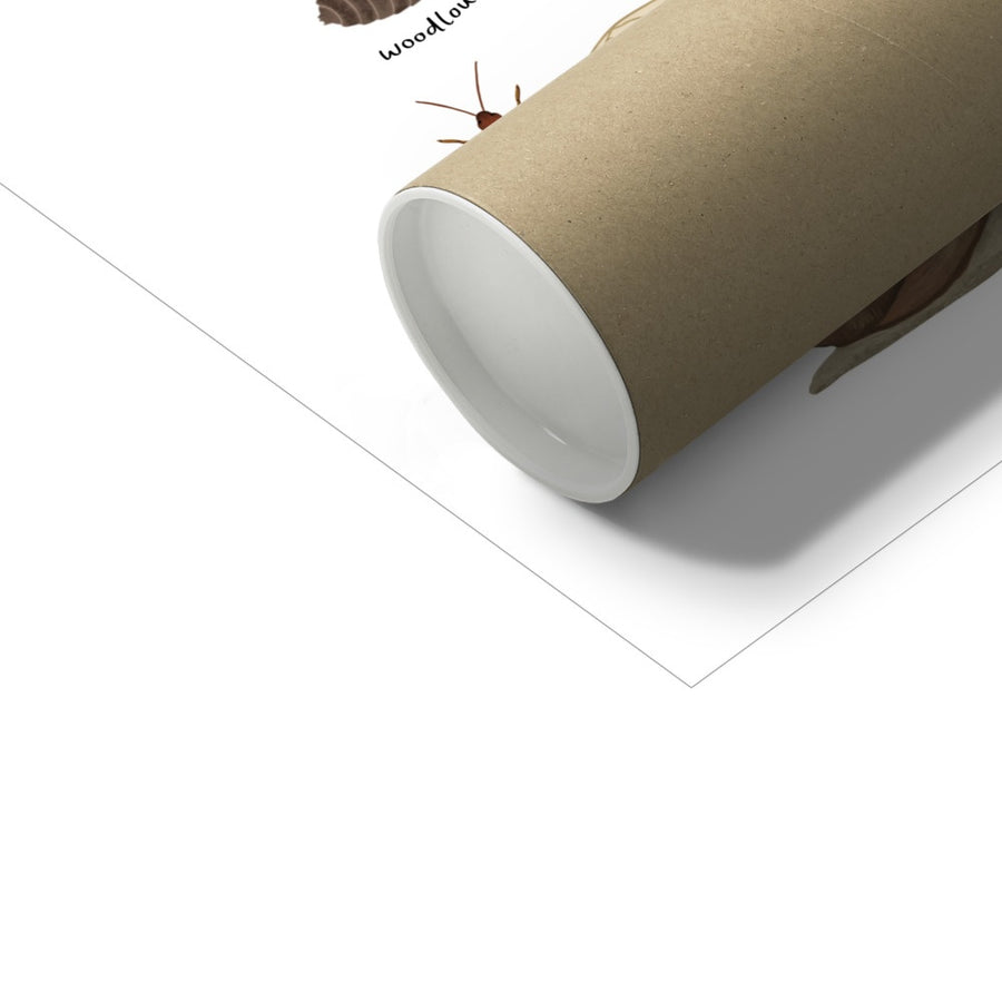 Minibeasts in white / Fine Art Print – Kid of the Village