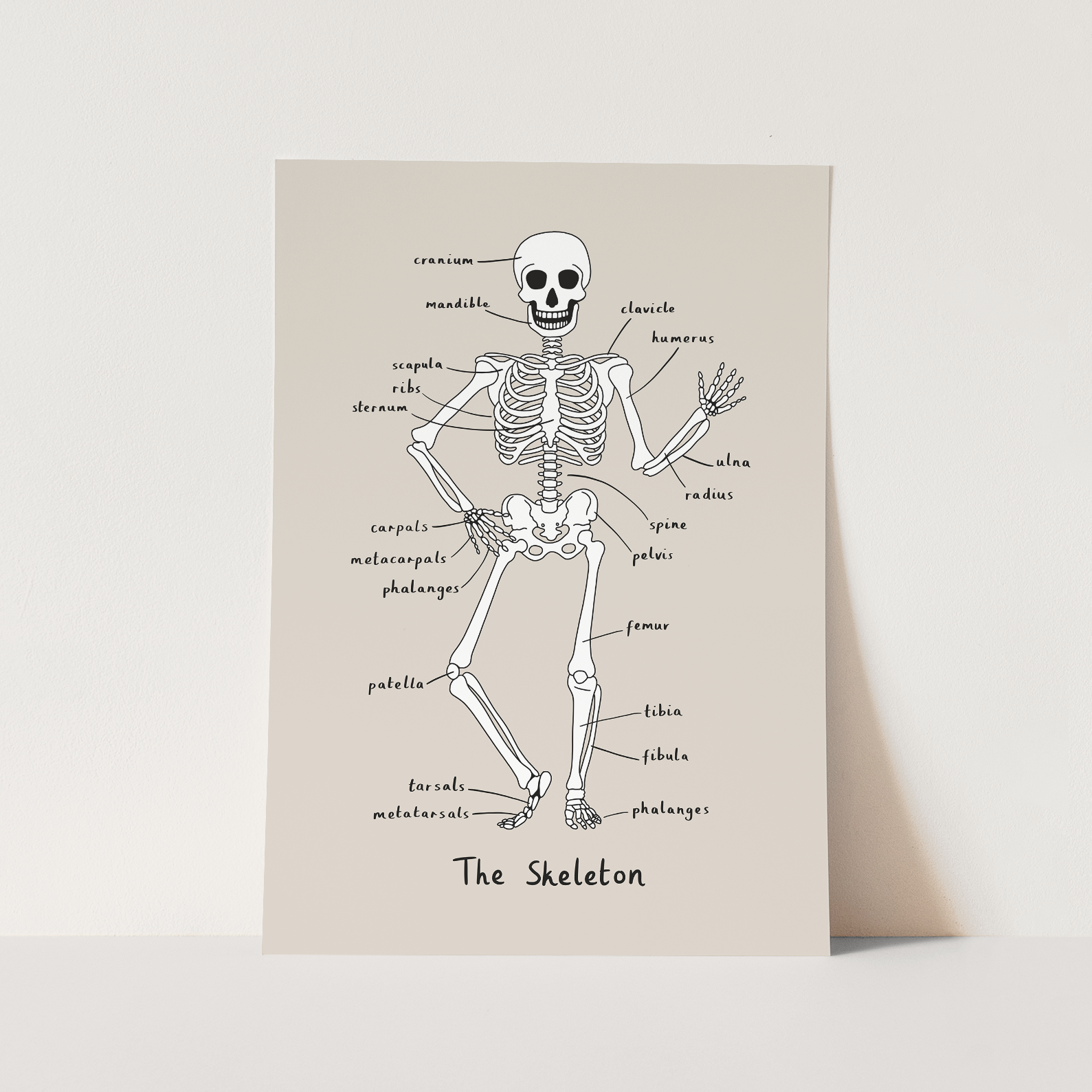 Skeleton in stone / Fine Art Print – Kid of the Village