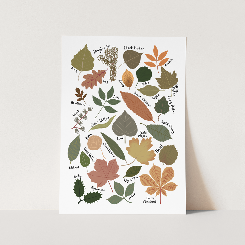 Leaf Chart / Fine Art Print – Kid of the Village